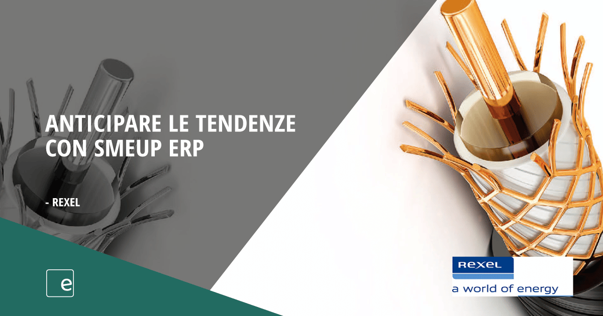 Rexel: come anticipare le tendenze con smeup erp